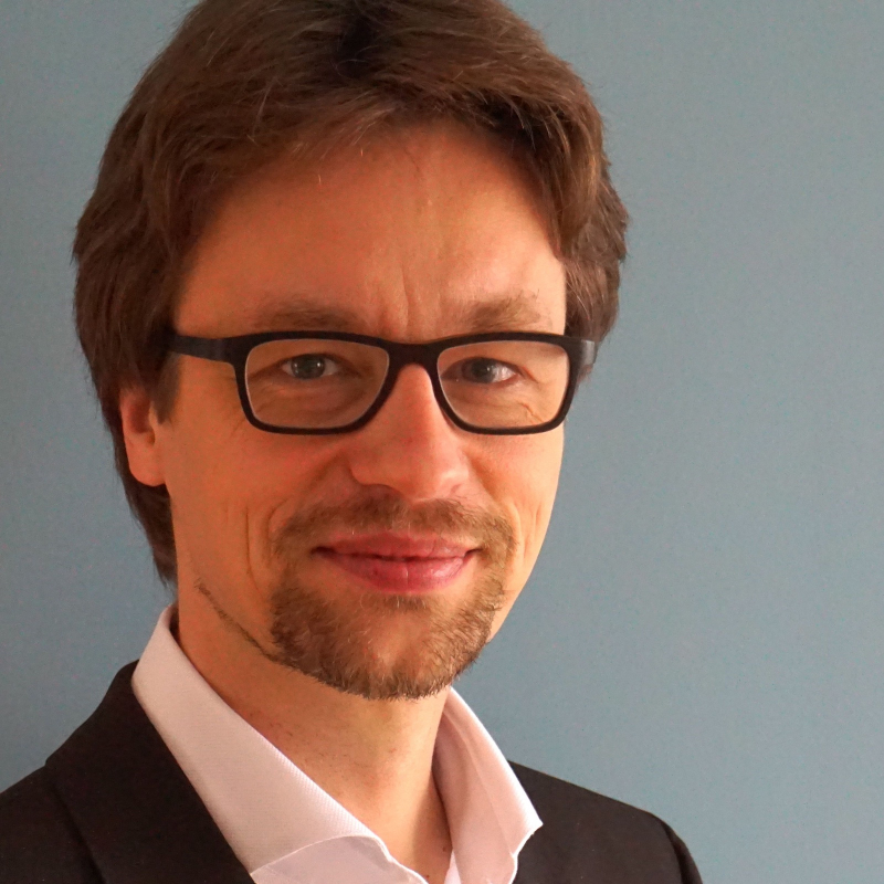 Prof. Dr. Thorsten Moos - FIIT Heidelberg